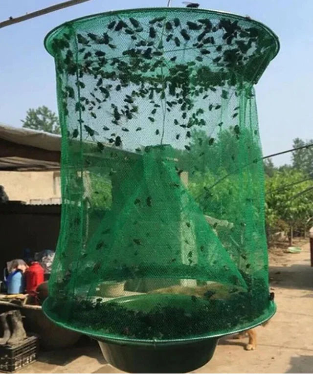 FAST FLY CATCHER® - 100% NON TOXIC - REUSABLE – Dolaxe